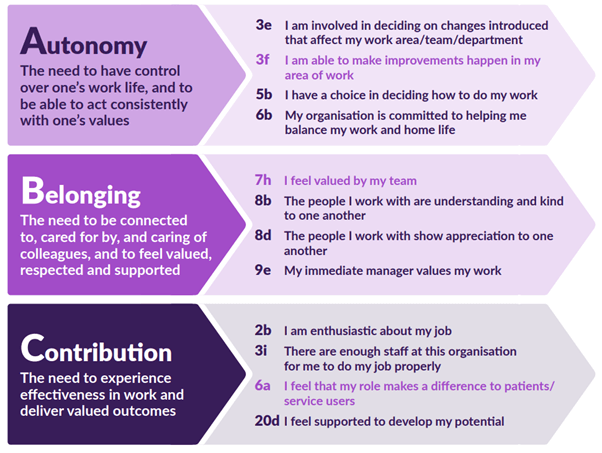 How Can The NHS Staff Survey Data Help You To Meet The Core Needs Of ...